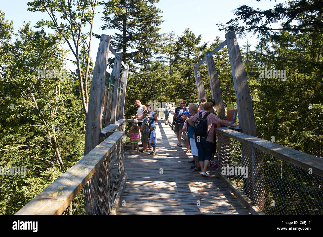 The world´s longest tree top walk - Tree Tower - Bavarian Forest ...