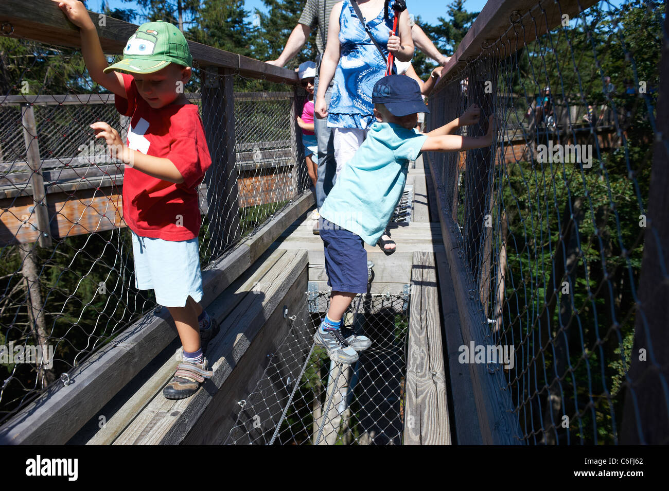 The world´s longest tree top walk - Tree Tower - Bavarian Forest ...
