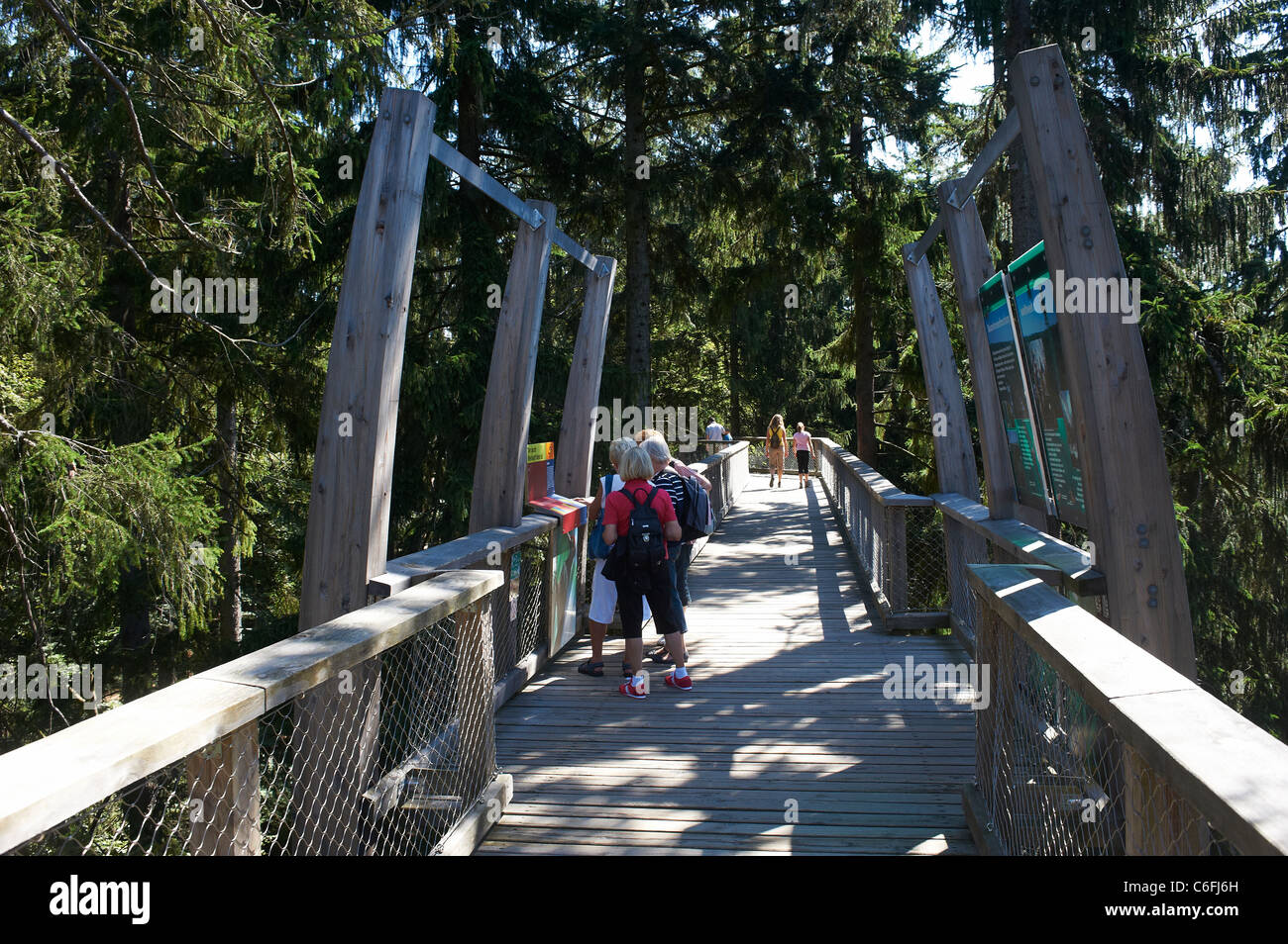 The world´s longest tree top walk - Tree Tower - Bavarian Forest ...