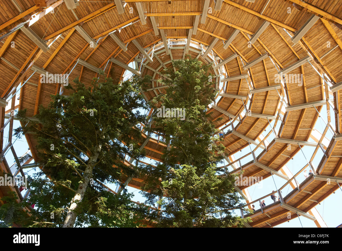 The world´s longest tree top walk - Tree Tower - Bavarian Forest ...
