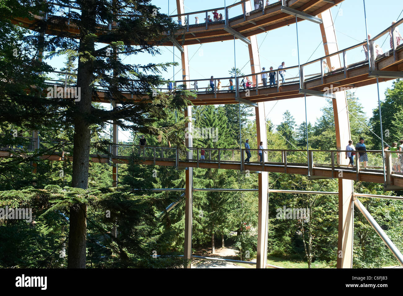 The world´s longest tree top walk - Tree Tower - Bavarian Forest ...