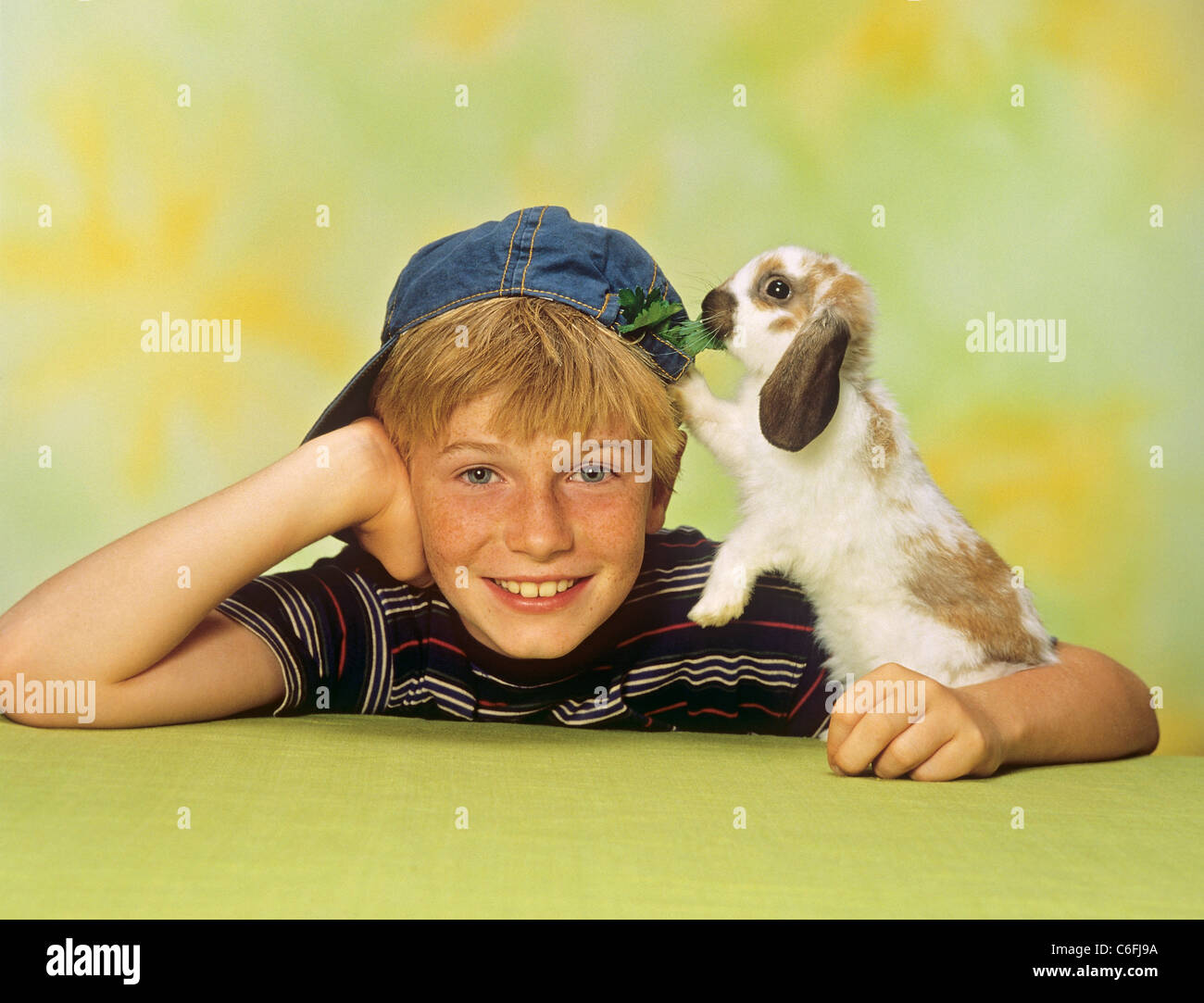 Boy with lop-eared dwarf rabbit Stock Photo - Alamy