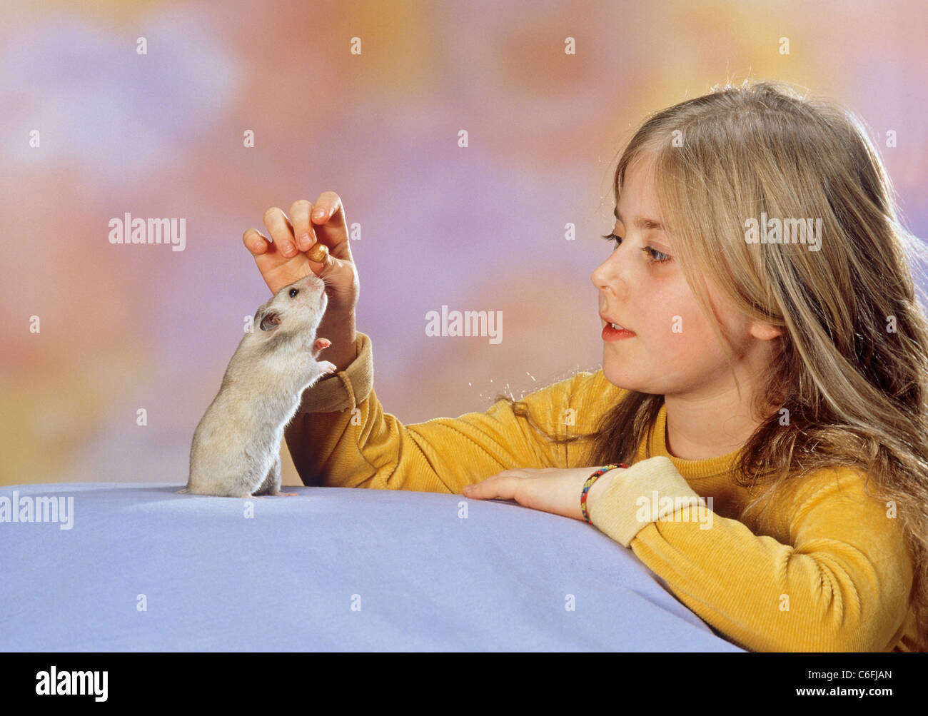 Girl feeding Hamster with nut Stock Photo - Alamy