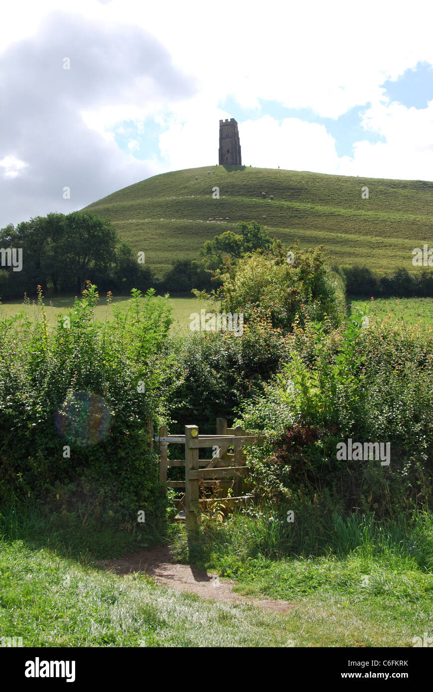 Distant view of Glastonbury Tor over fields Somerset England United ...