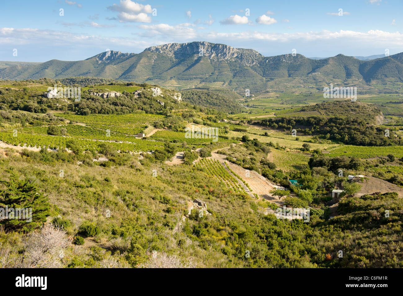 A view across the Maury wine growing region below the Pyrenees in ...