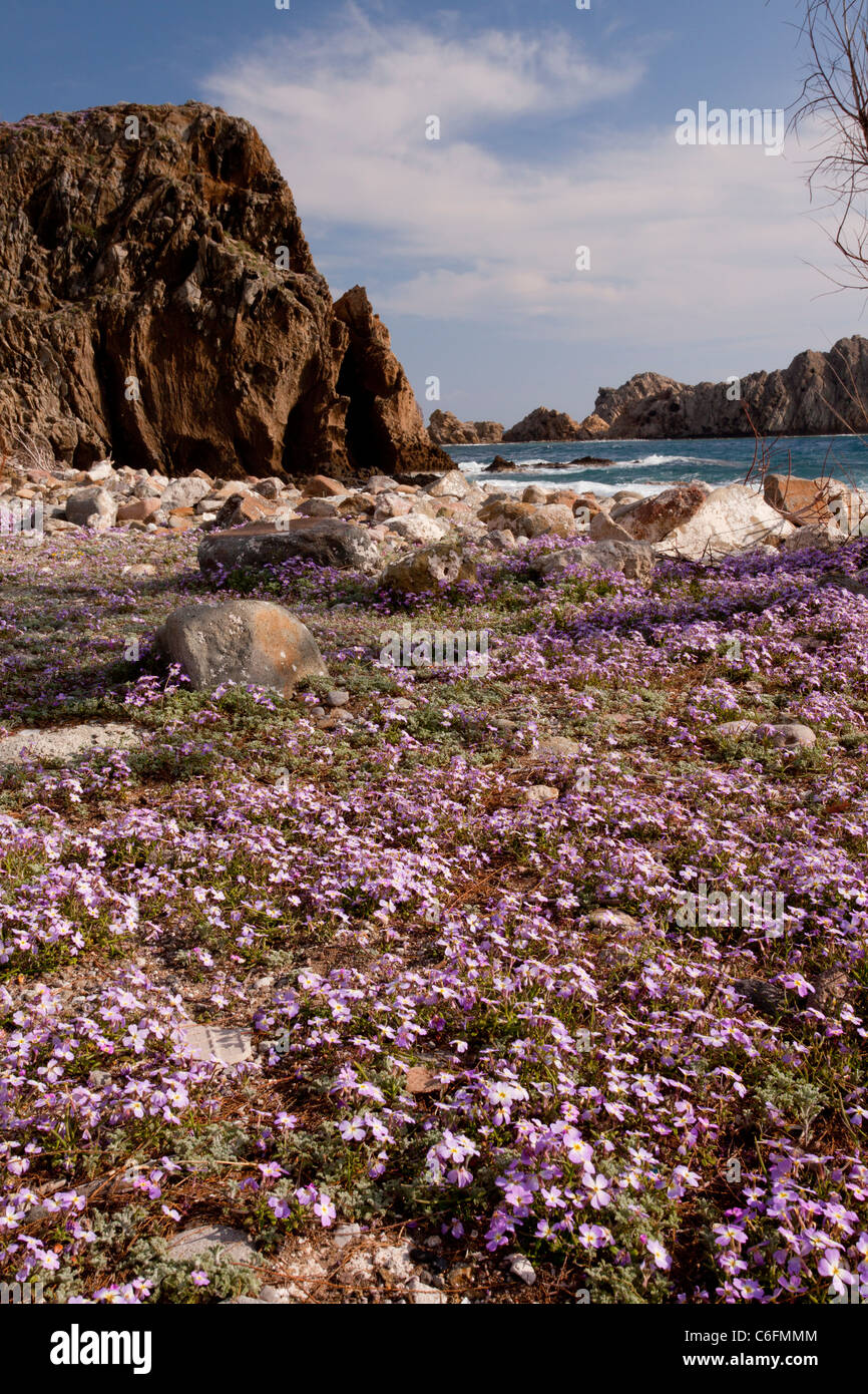 Eressos beach hi-res stock photography and images - Alamy