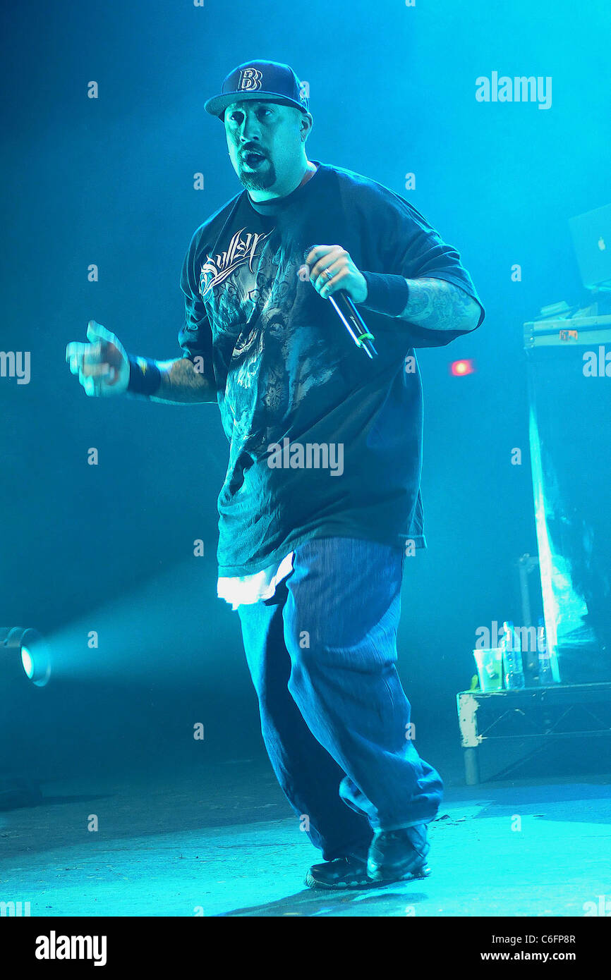 Real Cypress High Resolution Stock Photography and Images - Alamy