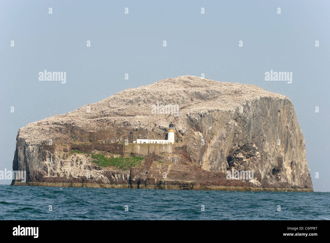 Bass Rock, Firth of Forth, Scotland, UK Stock Photo - Alamy