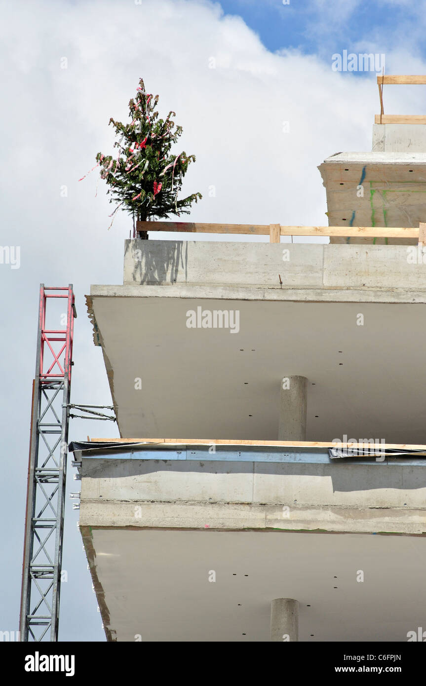 Topping out tree hi-res stock photography and images - Alamy