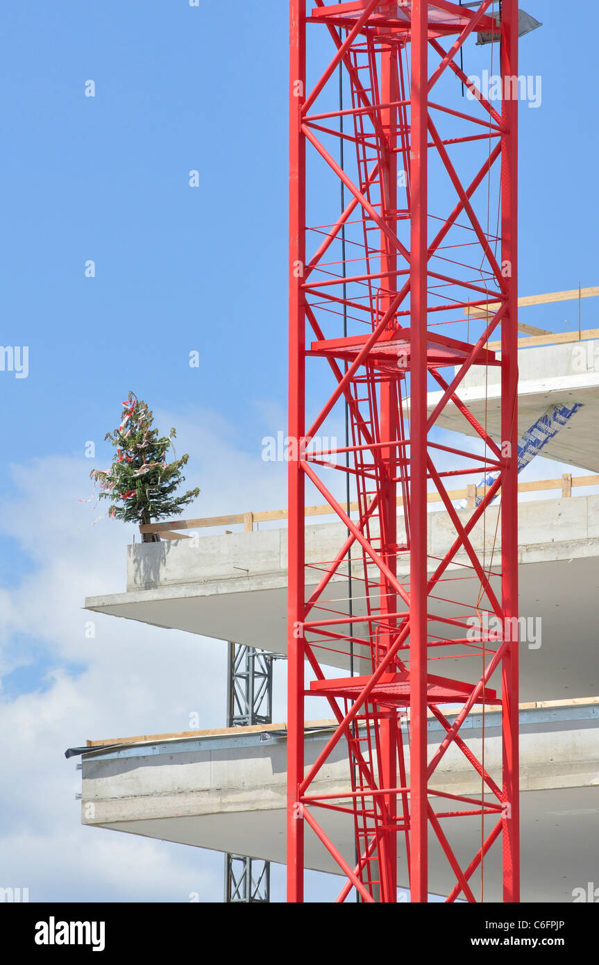 Topping out tree hi-res stock photography and images - Alamy