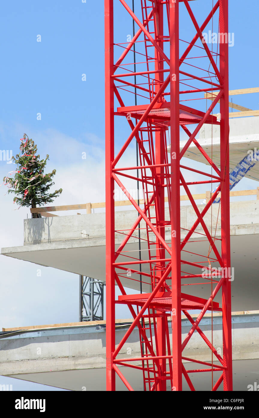 Topping out tree hi-res stock photography and images - Alamy