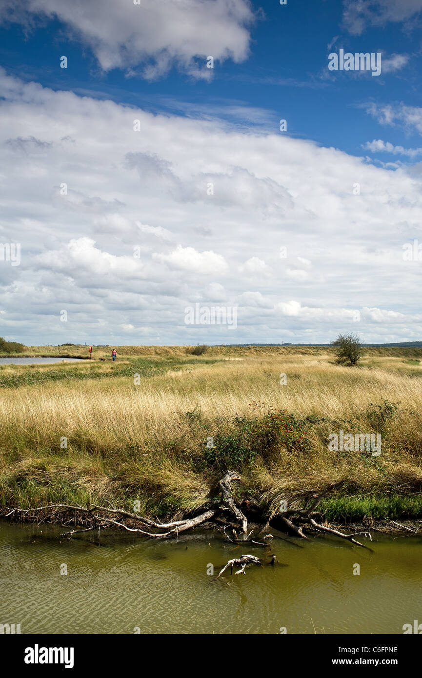 Ditch water hi-res stock photography and images - Alamy