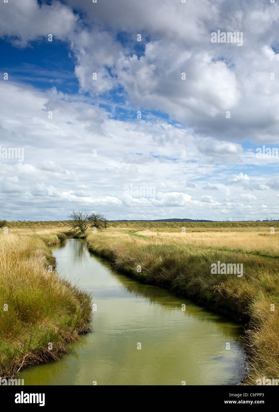 A water filled ditch in essex Stock Photo - Alamy