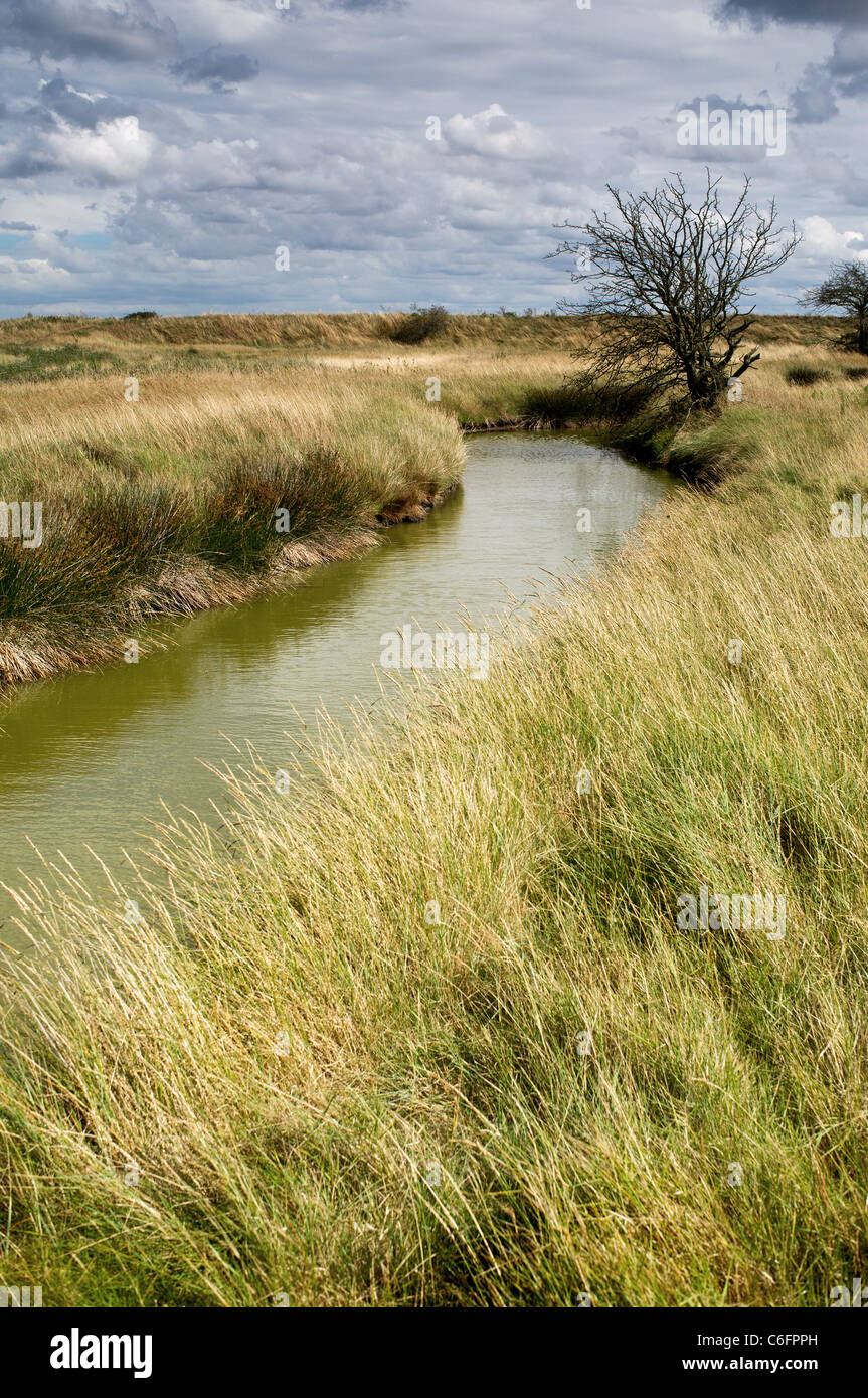 A water filled ditch in Essex Stock Photo - Alamy
