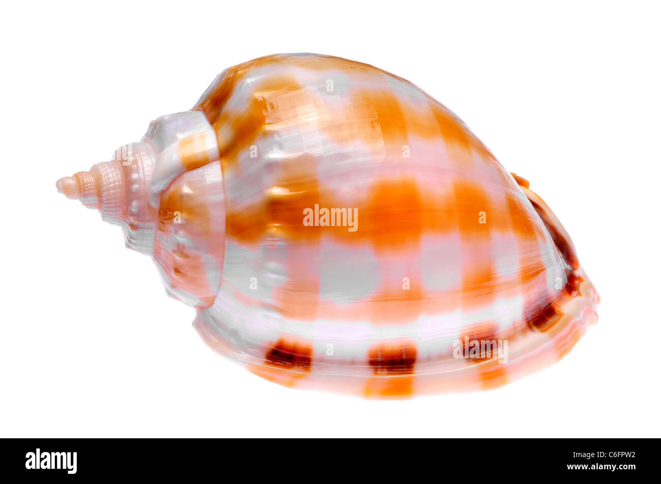 Banded structure hi-res stock photography and images - Alamy