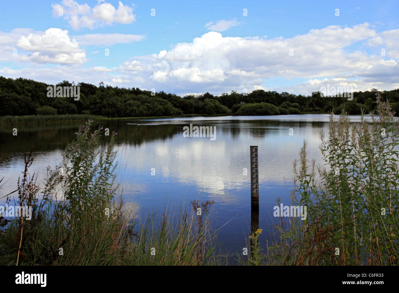 Epsom Common, Epsom, Surrey, England UK Stock Photo - Alamy