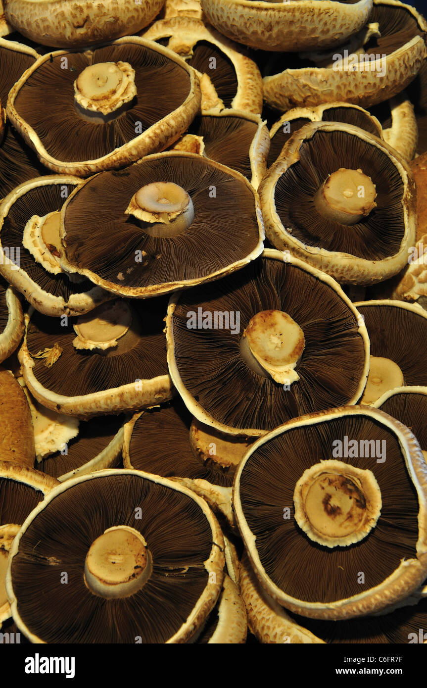 Chestnut mushrooms hi-res stock photography and images - Alamy