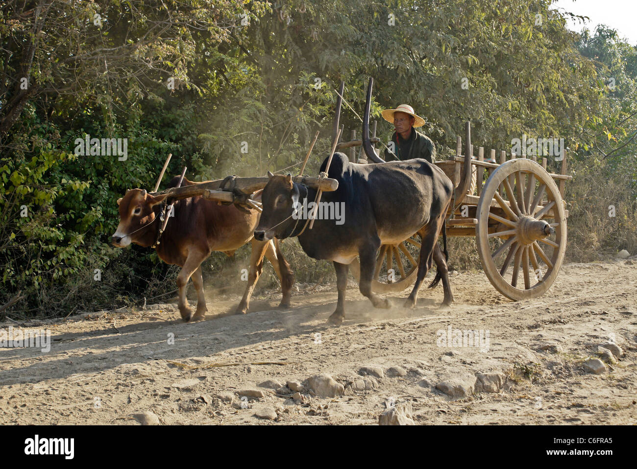 Farmer bullock cart hi-res stock photography and images - Alamy