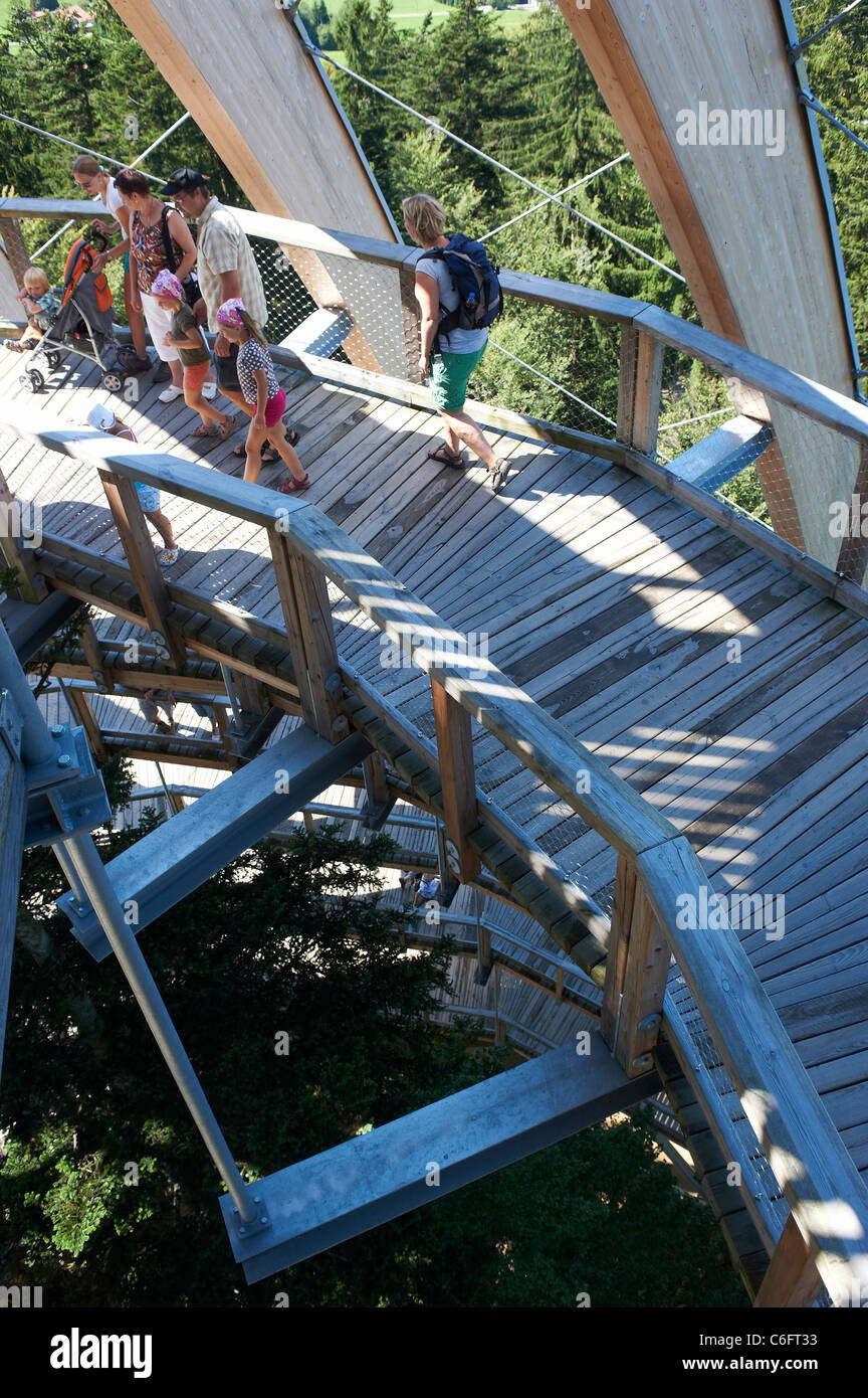 The world´s longest tree top walk - Tree Tower - Bavarian Forest ...