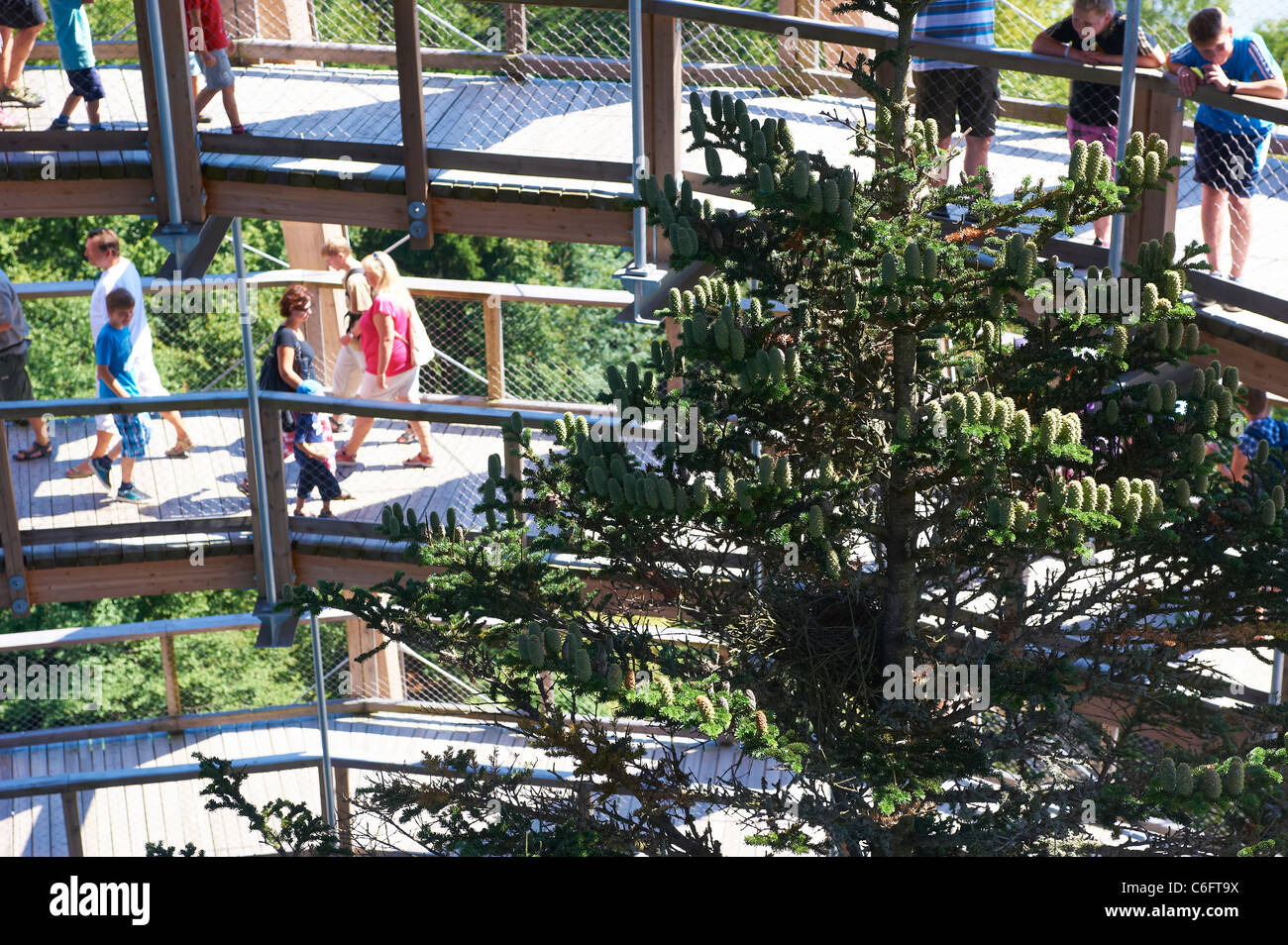 The world´s longest tree top walk - Tree Tower - Bavarian Forest ...