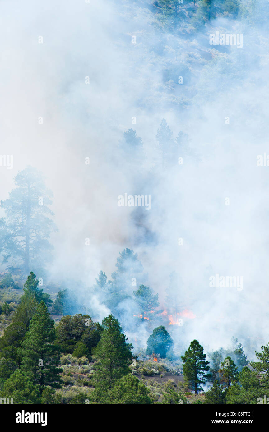 A wildfire started by lightning is soon out of control. Arizona High ...