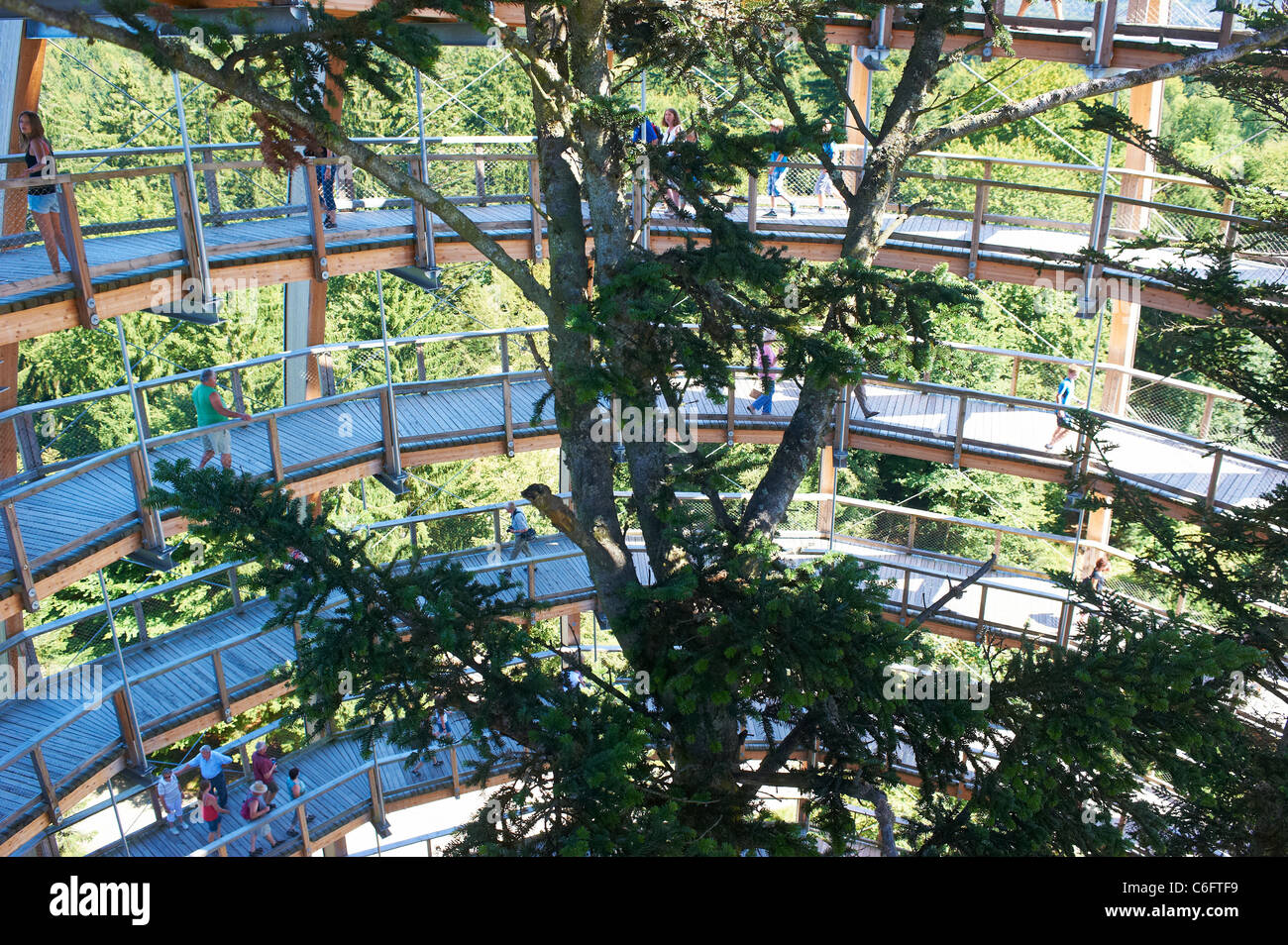 The world´s longest tree top walk - Tree Tower - Bavarian Forest ...