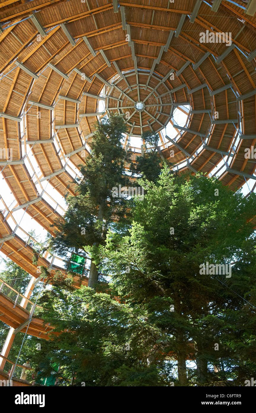 The world´s longest tree top walk - Tree Tower - Bavarian Forest ...
