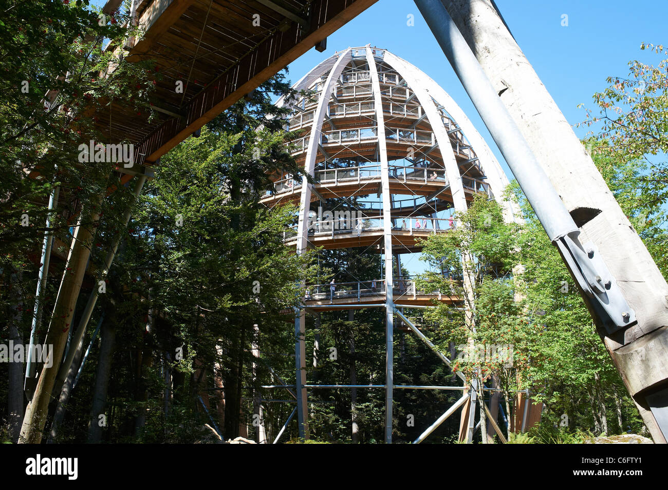 The world´s longest tree top walk - Tree Tower - Bavarian Forest ...