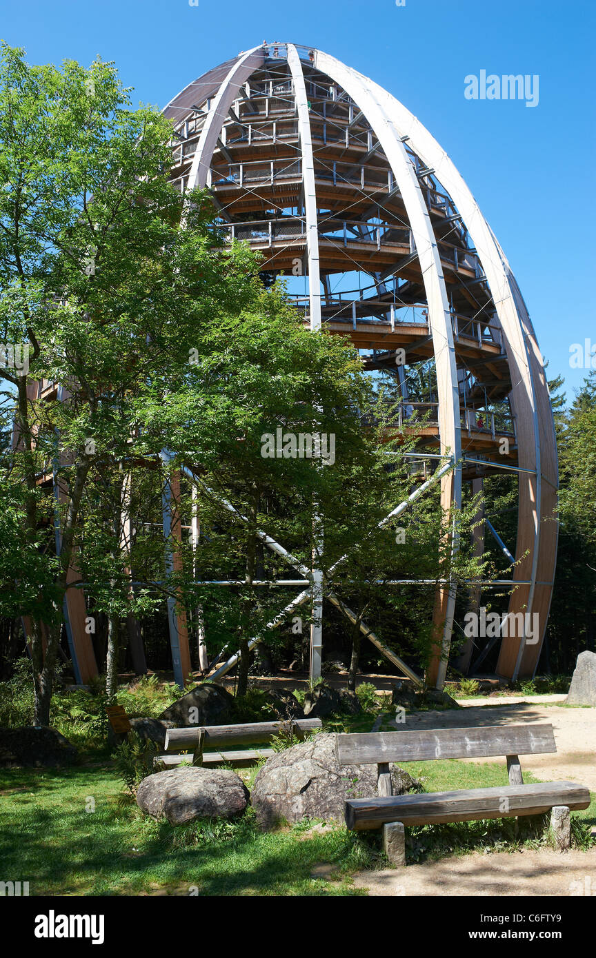 The world´s longest tree top walk - Tree Tower - Bavarian Forest ...