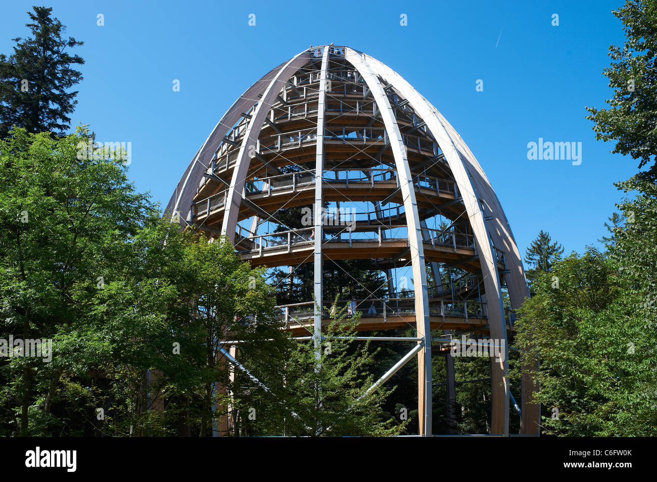 The world´s longest tree top walk - Tree Tower - Bavarian Forest ...