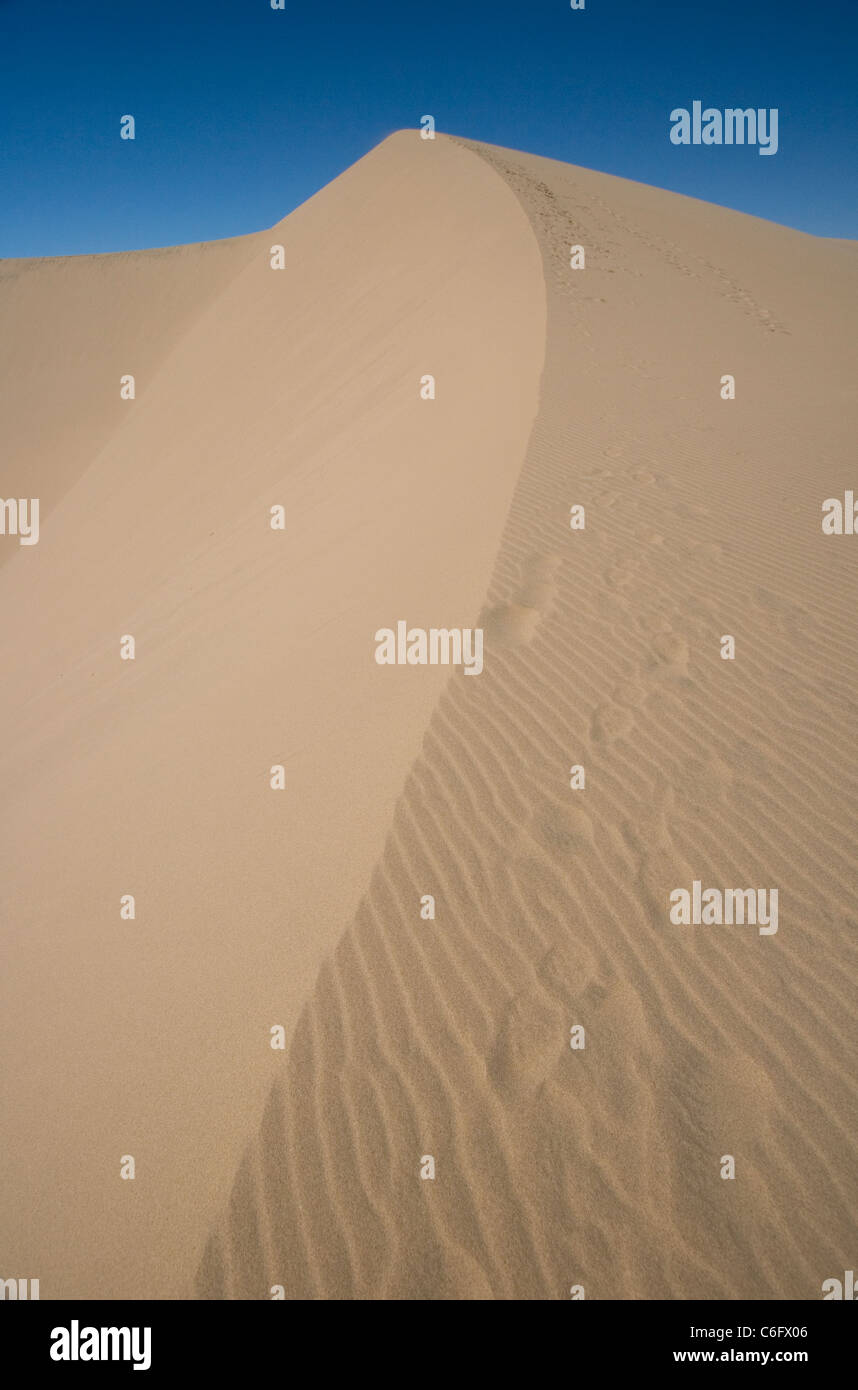 Top of a Namib desert Dune, Namibia Stock Photo - Alamy