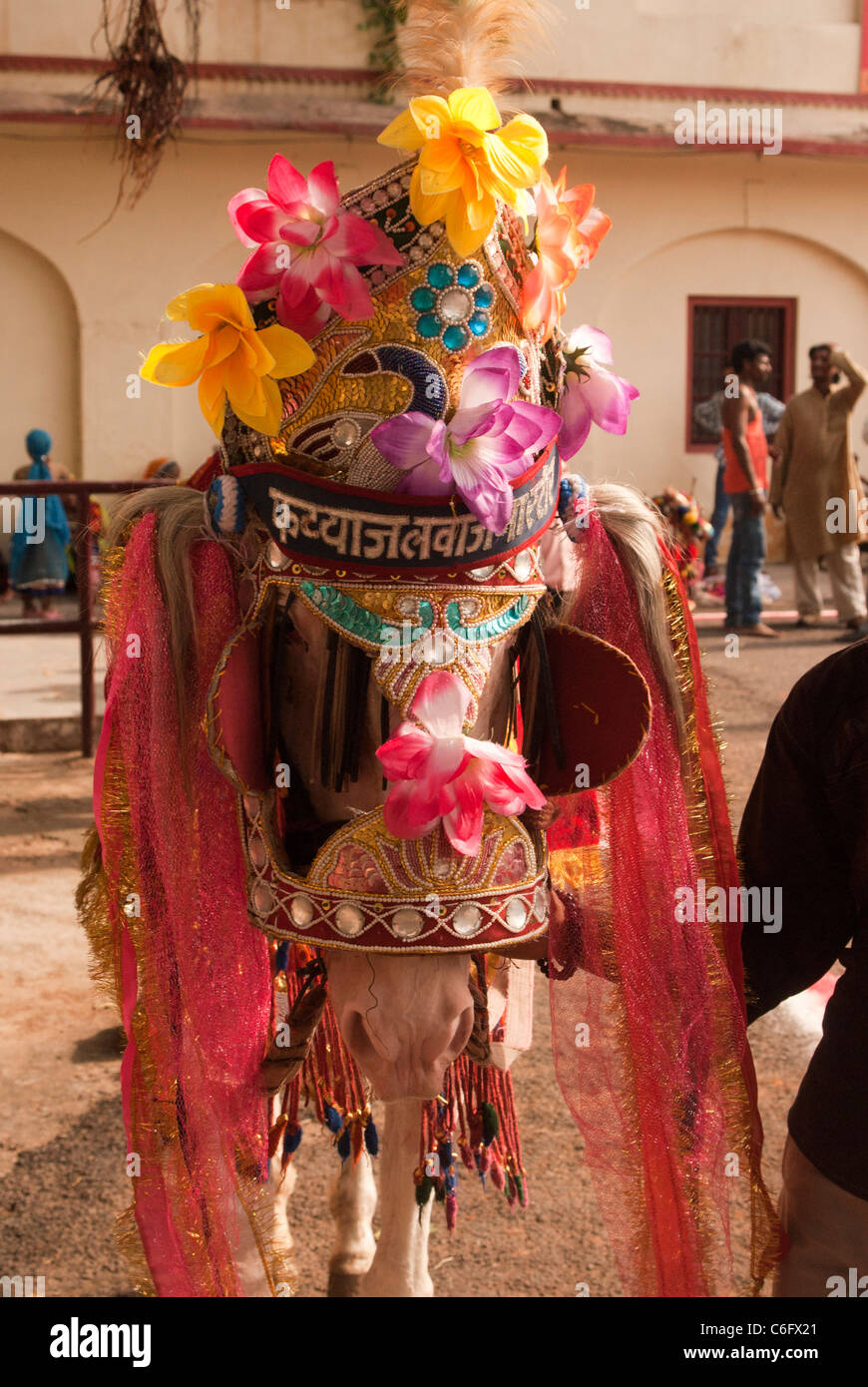 Teej festival hi-res stock photography and images - Alamy