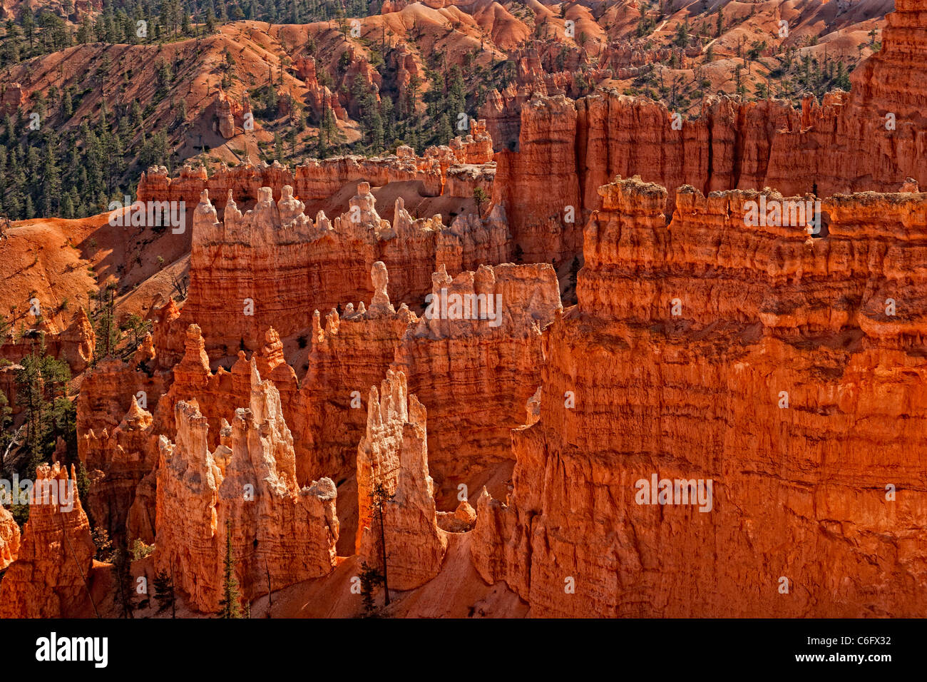 Bryce Canyon National Park Amphitheater Stock Photo - Alamy