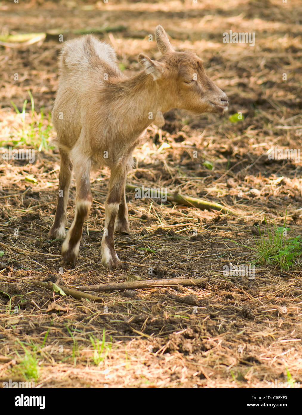 Flip flap hi-res stock photography and images - Alamy