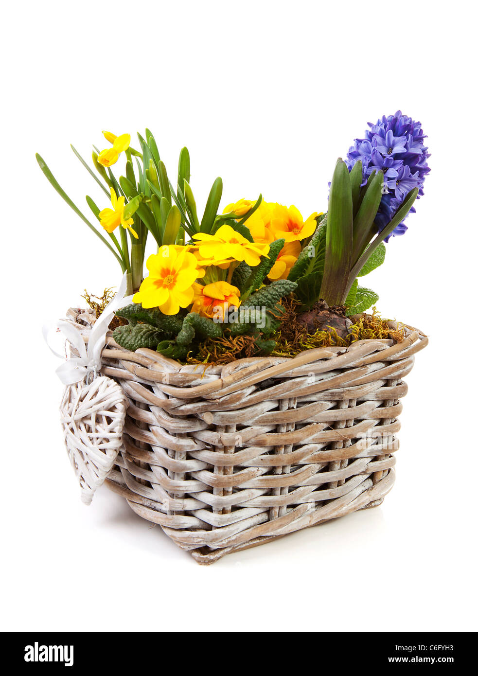 Basket spring flowers over white background Stock Photo - Alamy
