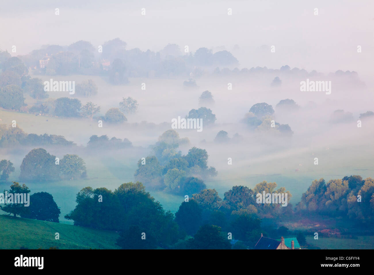 Treetops Stock Photos & Treetops Stock Images - Alamy