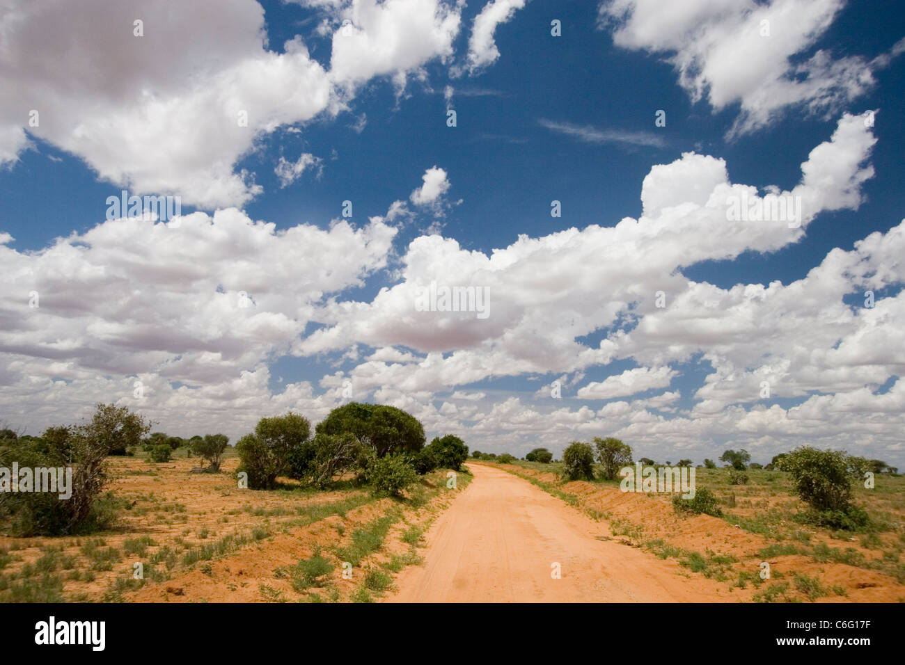 Red Earth Dirt track, Tsavo National Park, Kenya Stock Photo - Alamy