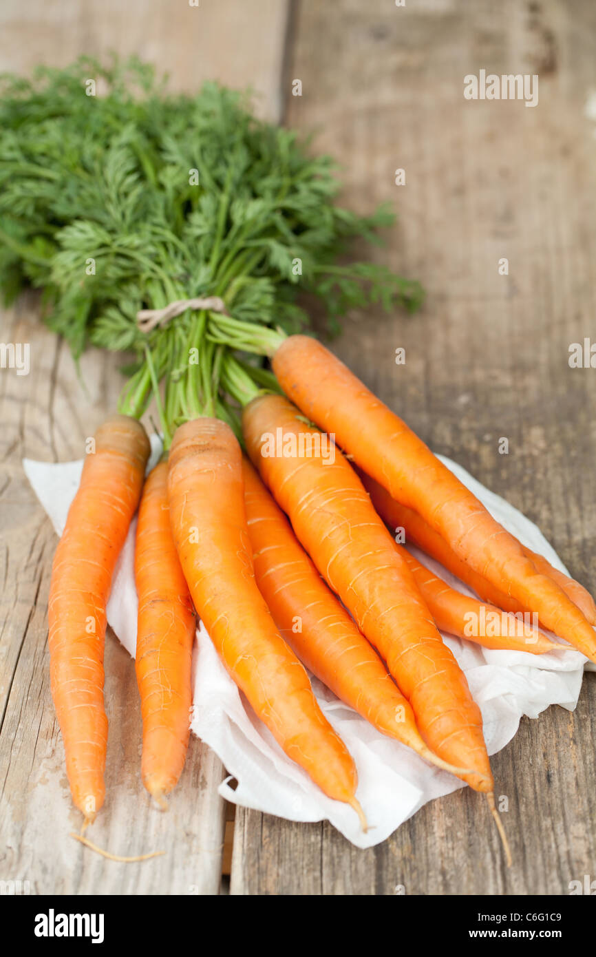 Bunch of fresh organic carrots Stock Photo - Alamy
