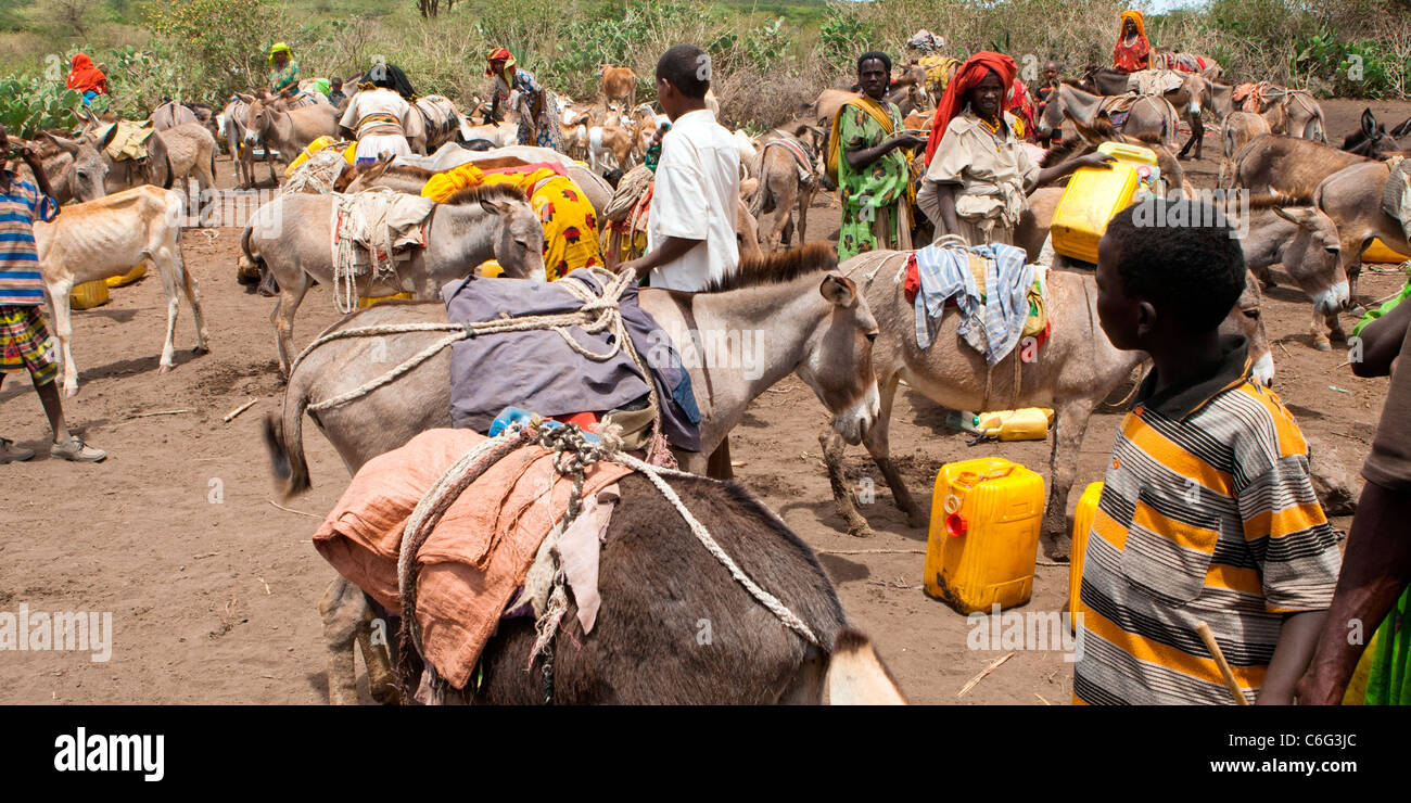 Oromo tribespeople gather at a well to collect water in the Chercher ...