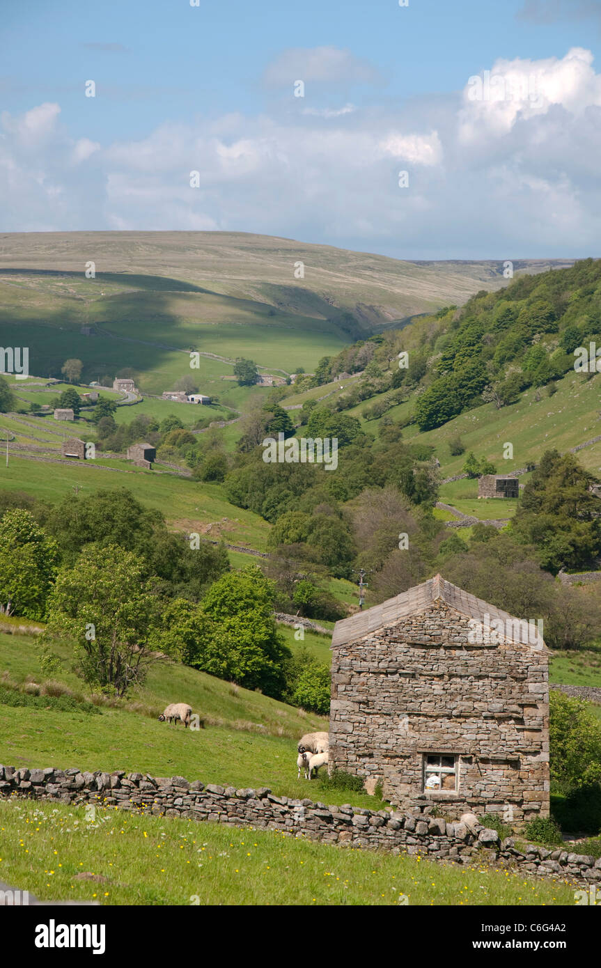 Rural countryside near Keld in Swaledale, North Yorkshire England UK ...