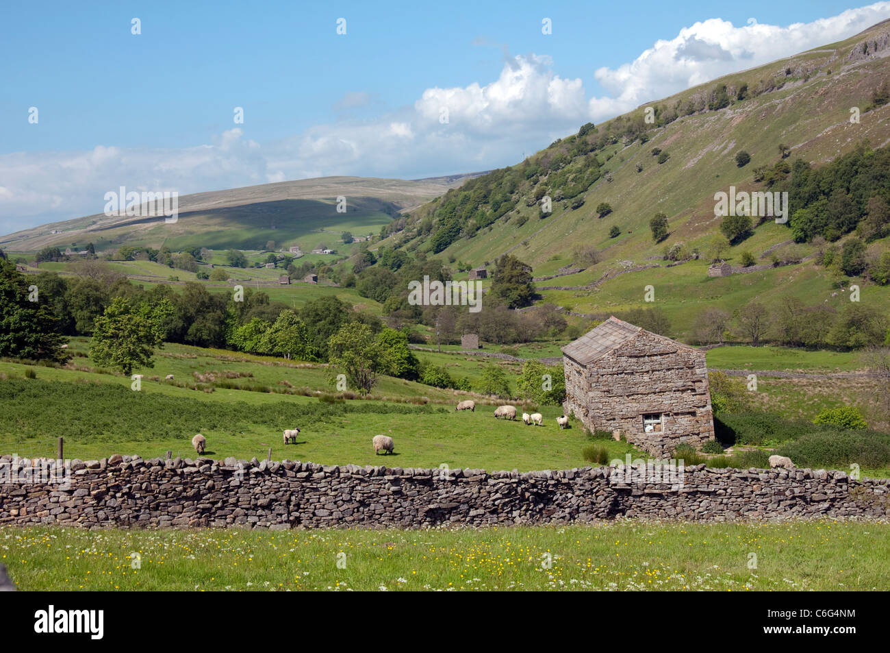 Rural countryside near Keld in Swaledale, North Yorkshire England UK ...