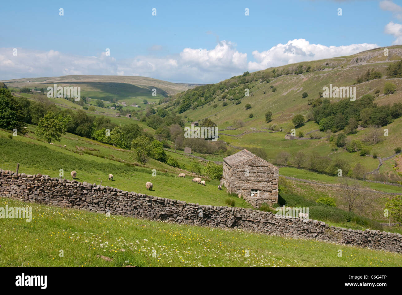 Rural countryside near Keld in Swaledale, North Yorkshire England UK ...
