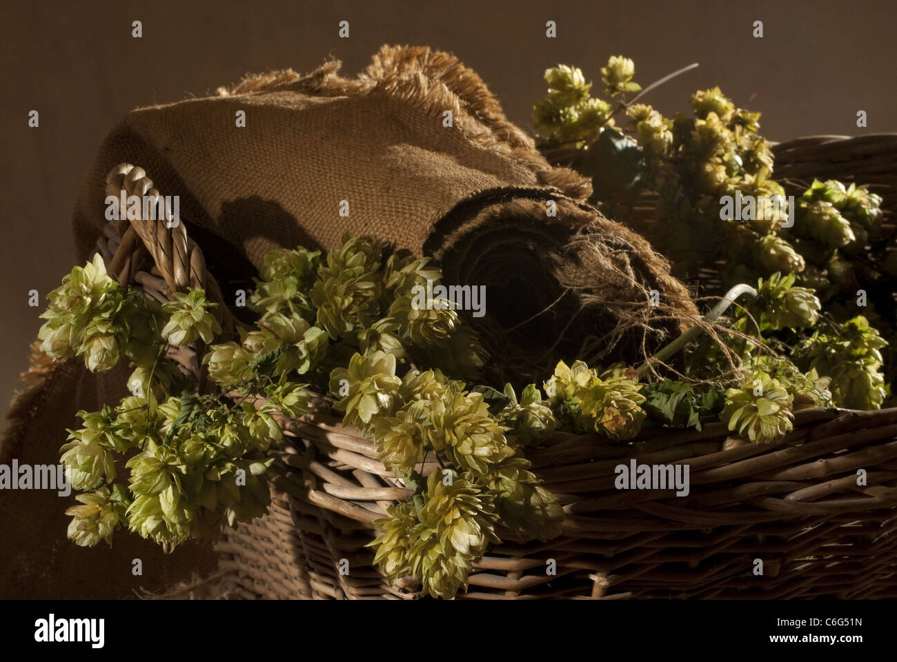 Brewing basket hi-res stock photography and images - Alamy