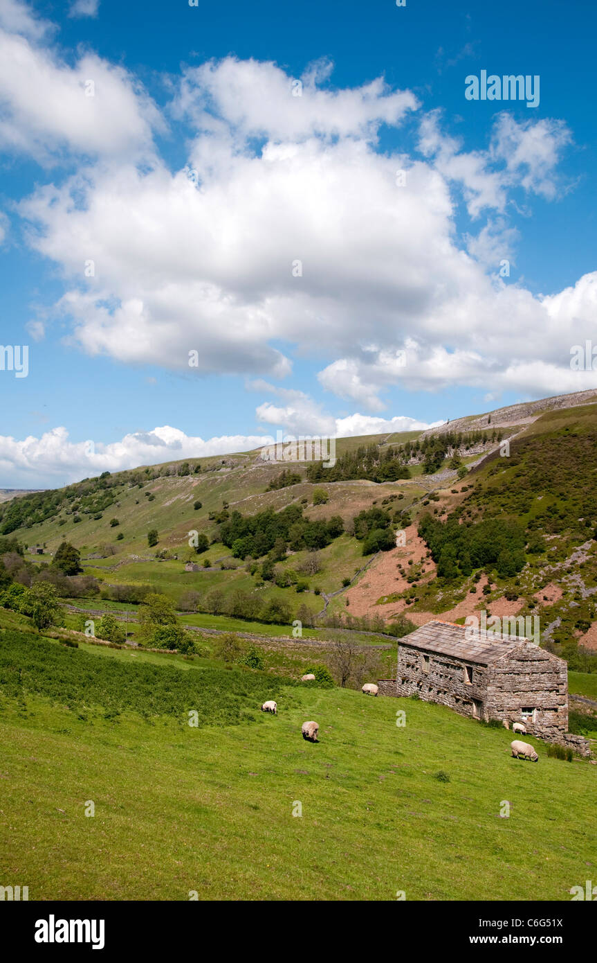 Rural countryside near Keld in Swaledale, North Yorkshire England UK ...
