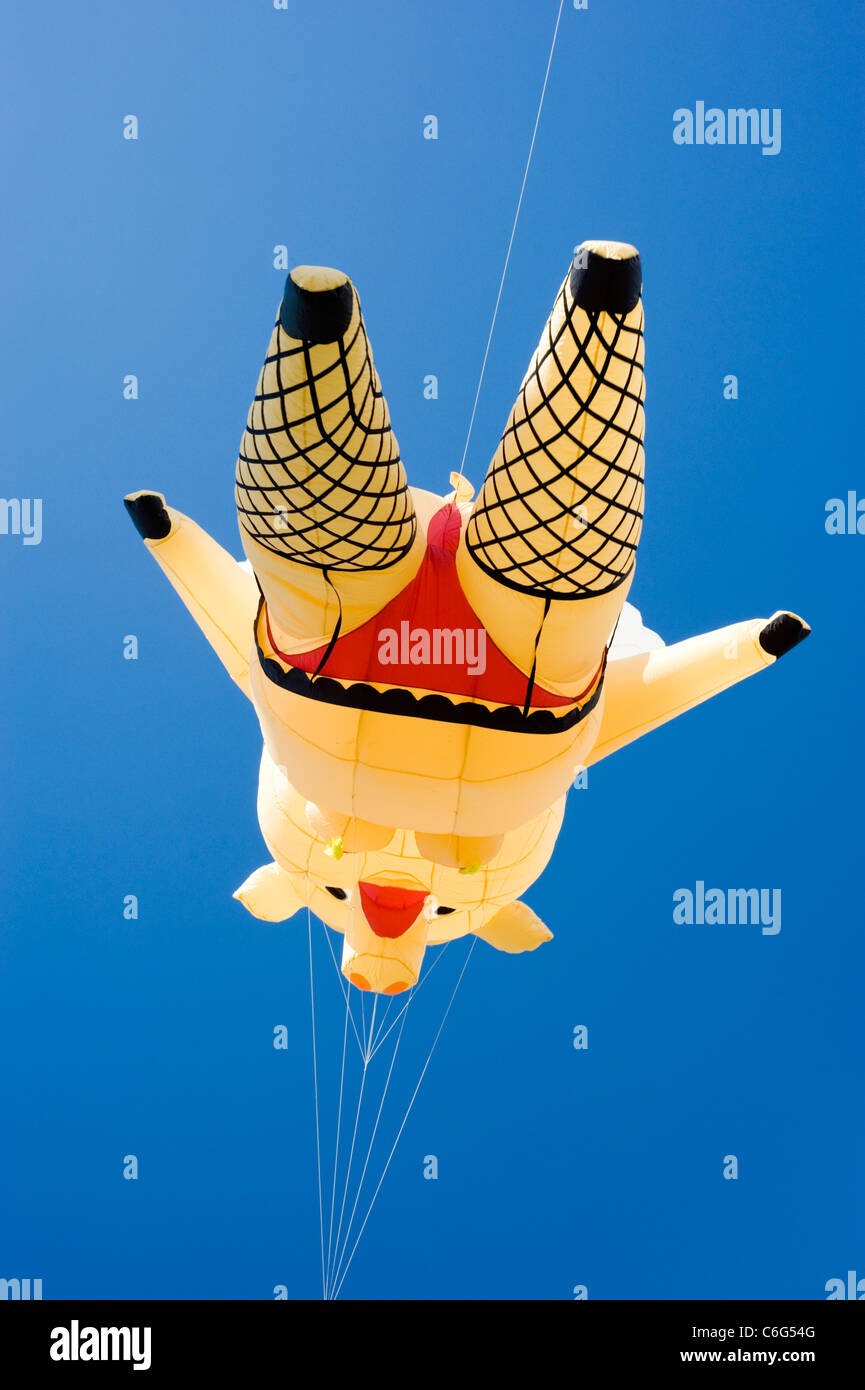 Pig kite hi-res stock photography and images - Alamy