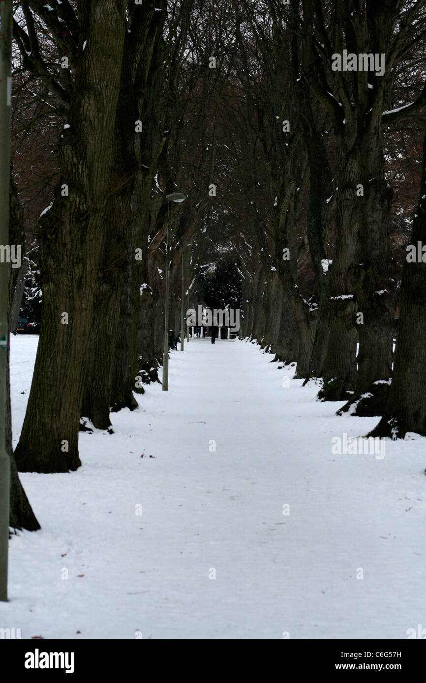 Snow pathway hi-res stock photography and images - Alamy