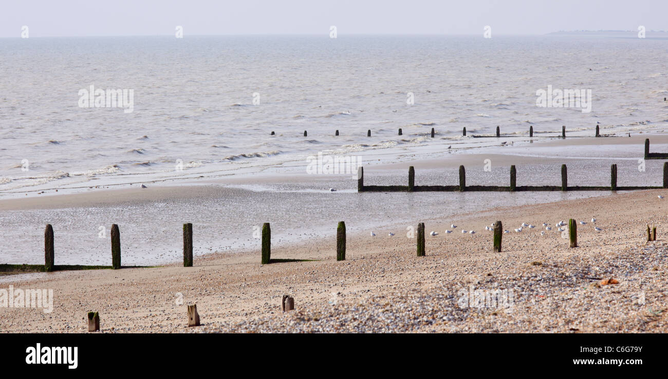 New Romney beach Kent Stock Photo - Alamy