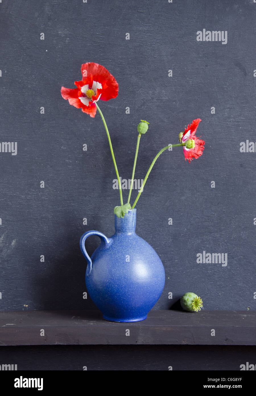 still-life with blue vase and poppy blossoms Stock Photo - Alamy