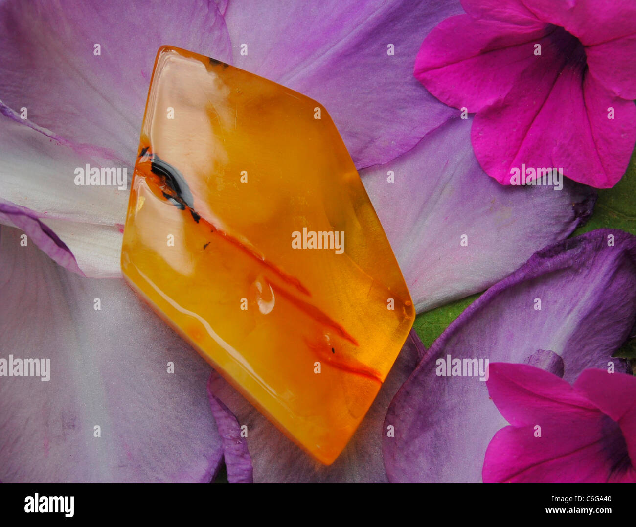 Polished amber hi-res stock photography and images - Alamy