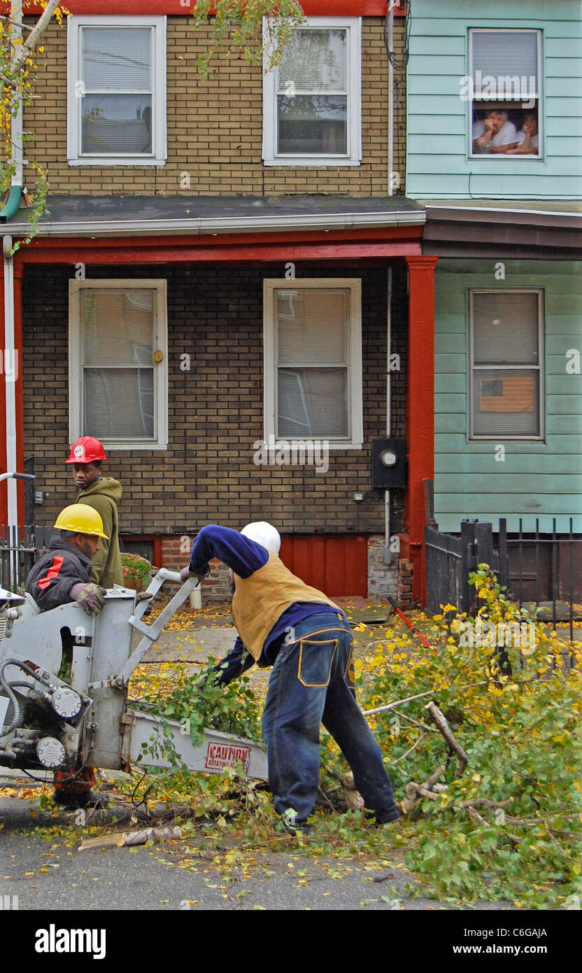 Workmen cutting down tree with people watching from window hi-res stock ...